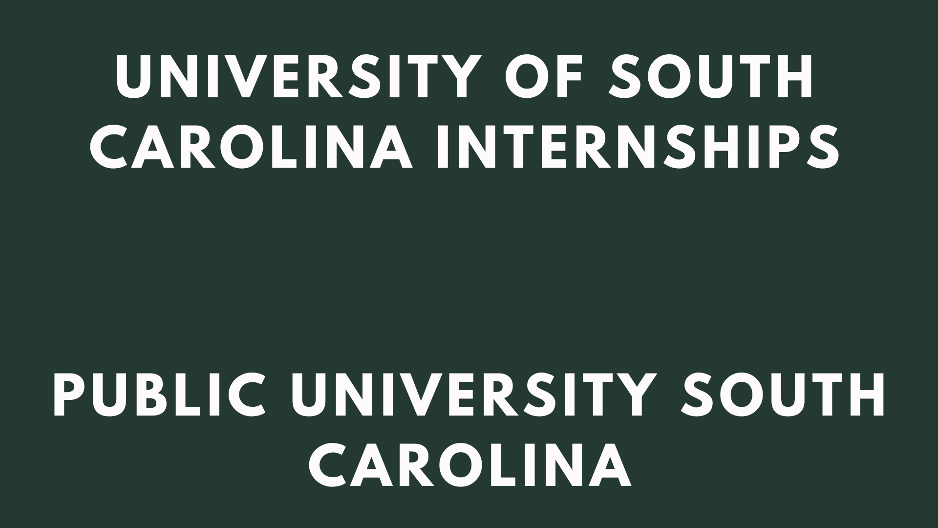 University Of South Carolina Internships 2026 - Internship Sphere