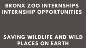 Bronx Zoo Internships 2026 For Training - Internship Sphere