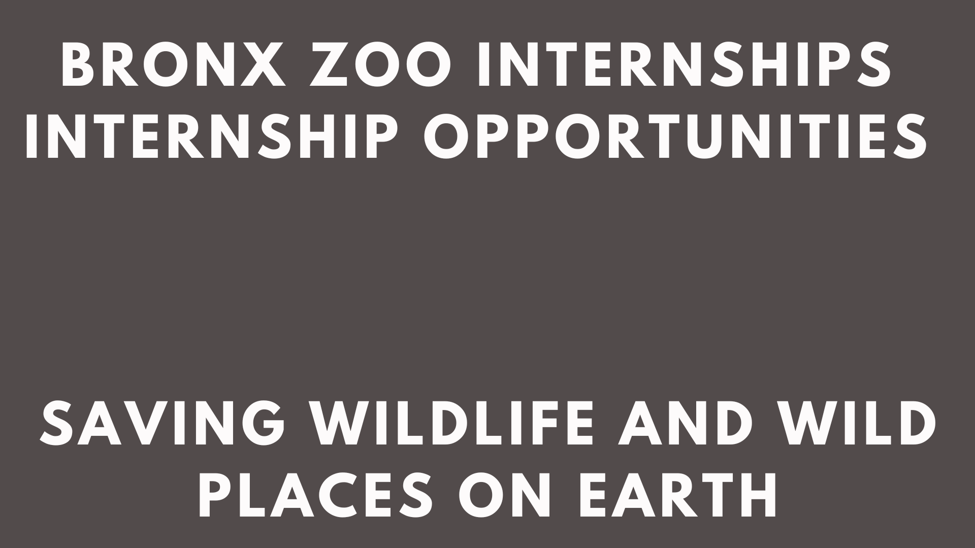 National Grid Internships 2026 Summer Internships - Internship Sphere