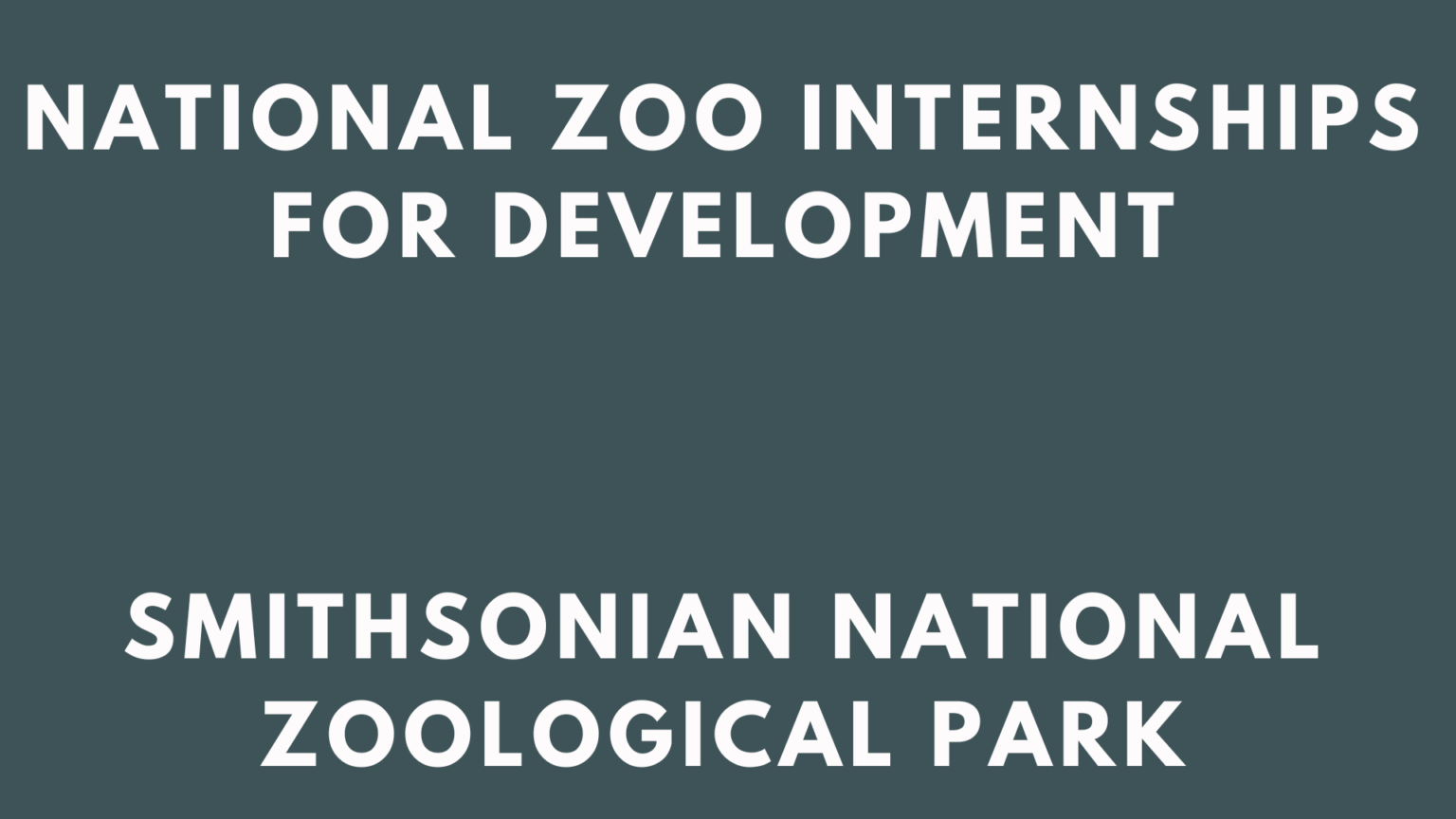 National Zoo Internships 2026 Internship Opportunities - Internship Sphere