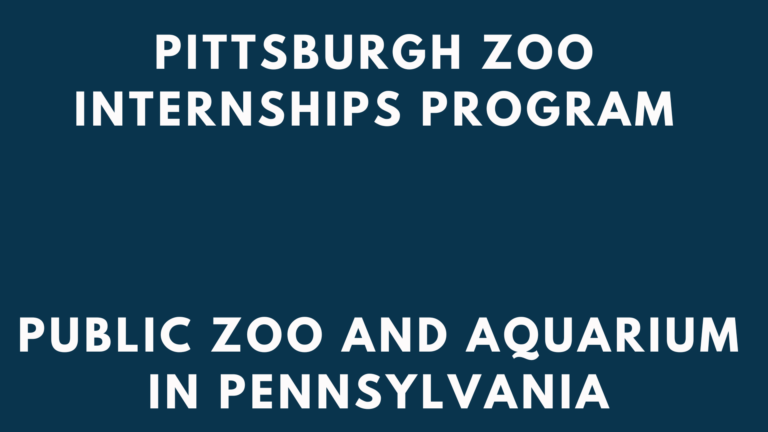Pittsburgh Zoo Internships 2026 Various Fields - Internship Sphere