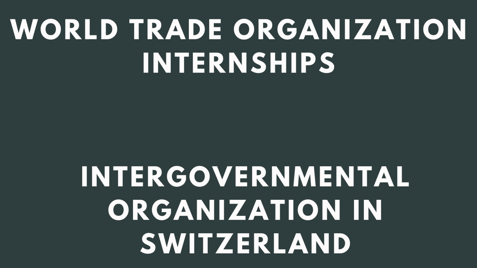 WTO Internships 2026 World Trade Organization - Internship Sphere